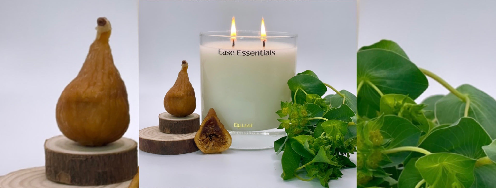 Products – EaseEssentialsCo.